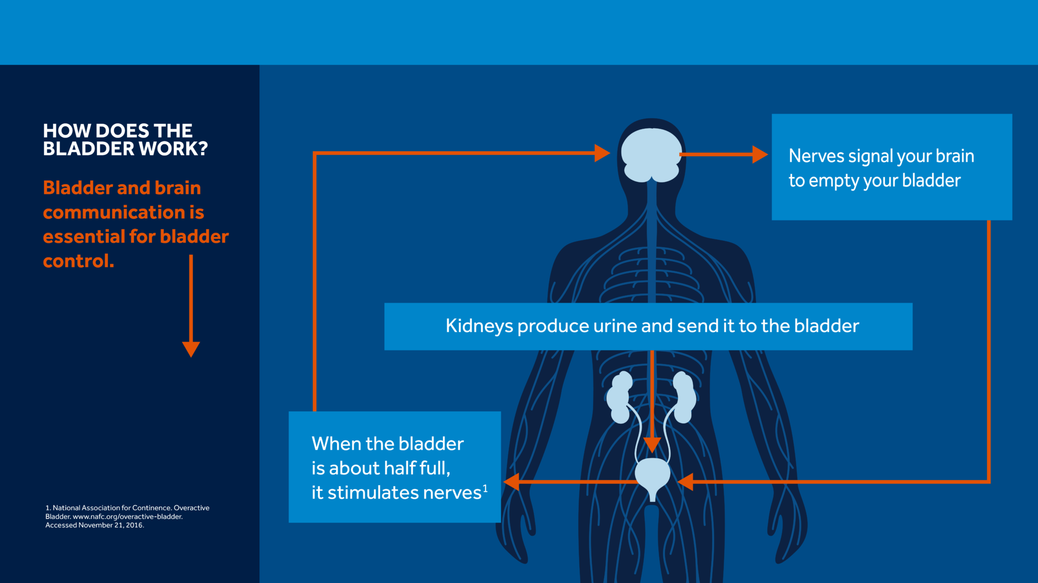 Sacral Nerve Stimulation - InterStim™ Therapy - Midwest Center for ...